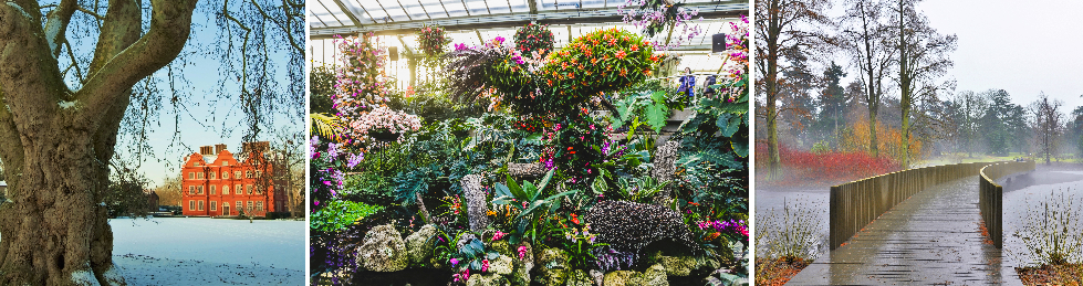 Explore the UK's Winter Gardens