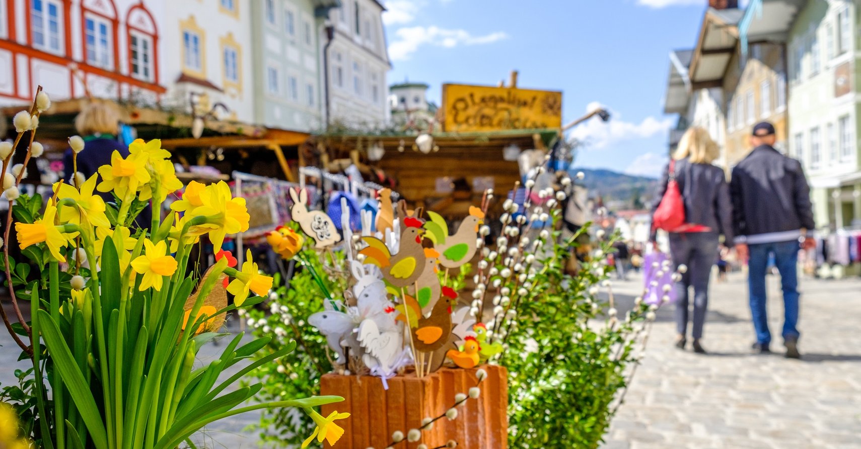 Splendid Springtime Destinations: Blossoms, Beers, and Bears!