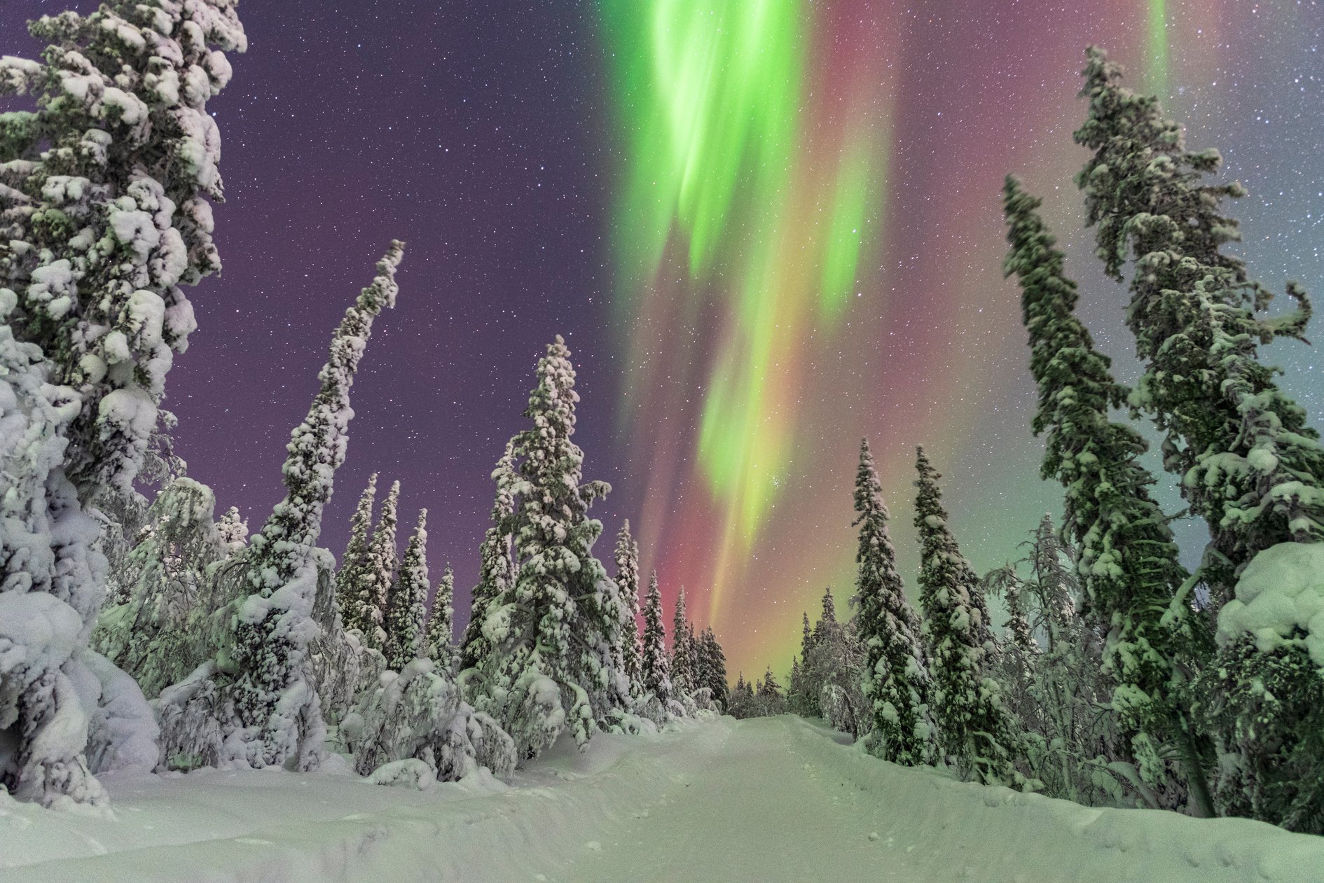 Top 5 Countries to See the Northern Lights