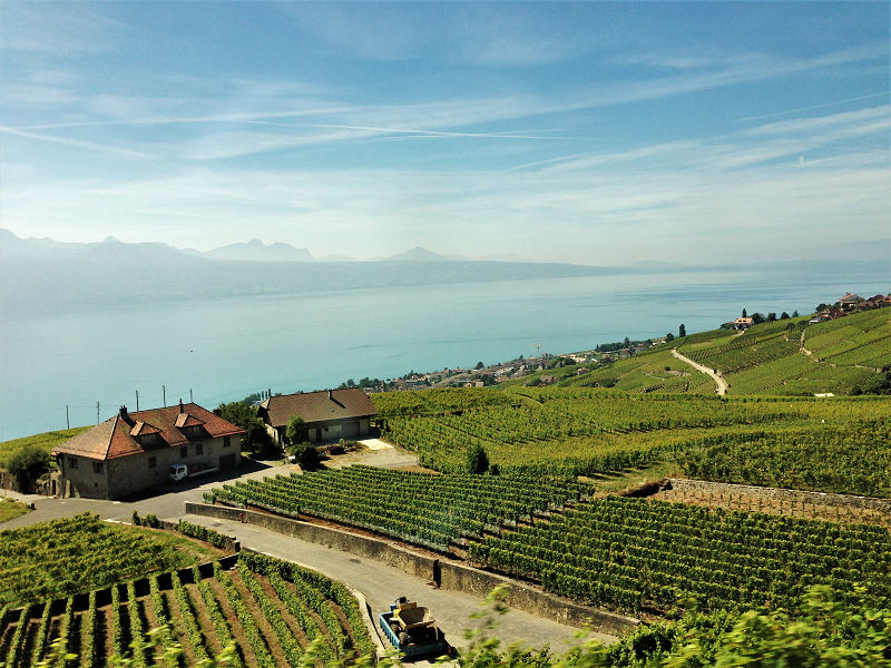 A Guide to the French Wine Regions